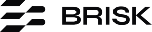 Brisk Ventures - Software Development Agency in Houston, TX